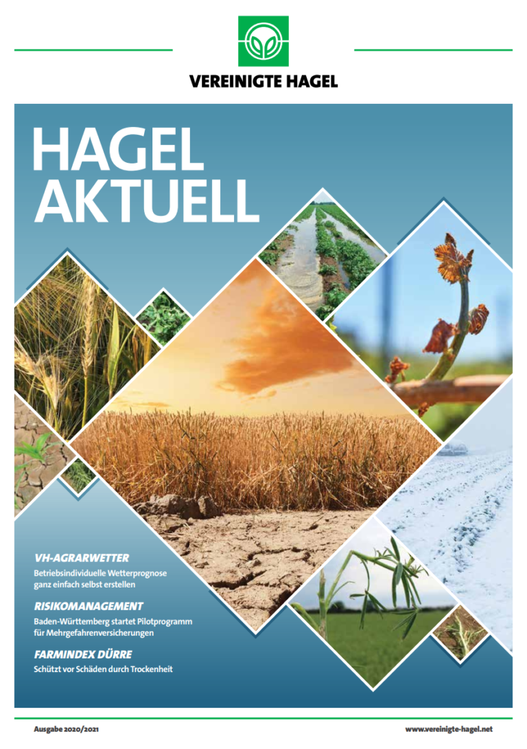 Vereinigte Hagel Login