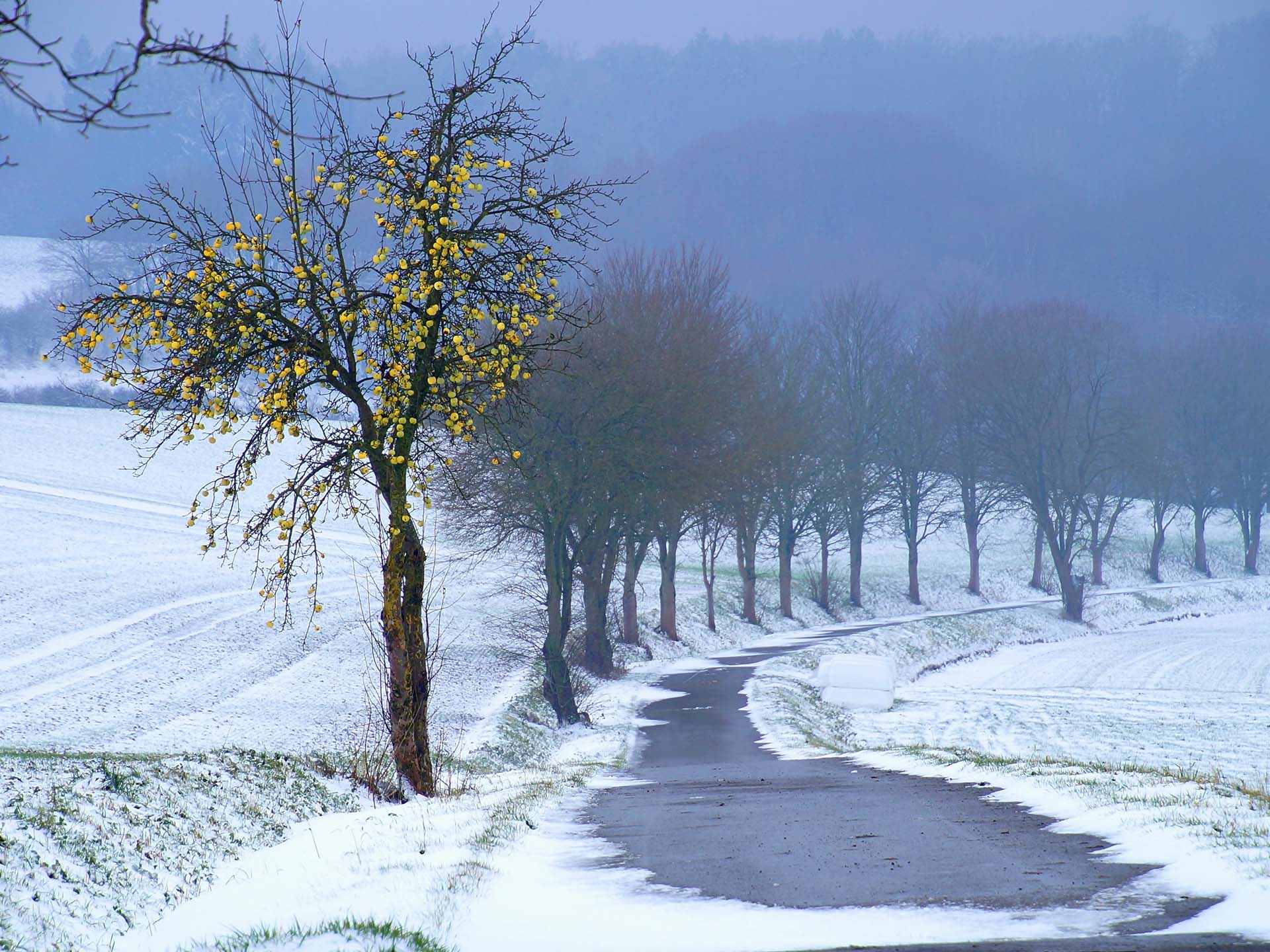 VH Luxemburg | - VEREINIGTE HAGEL: Mit der Nr.1 auf Nummer sicher gehen